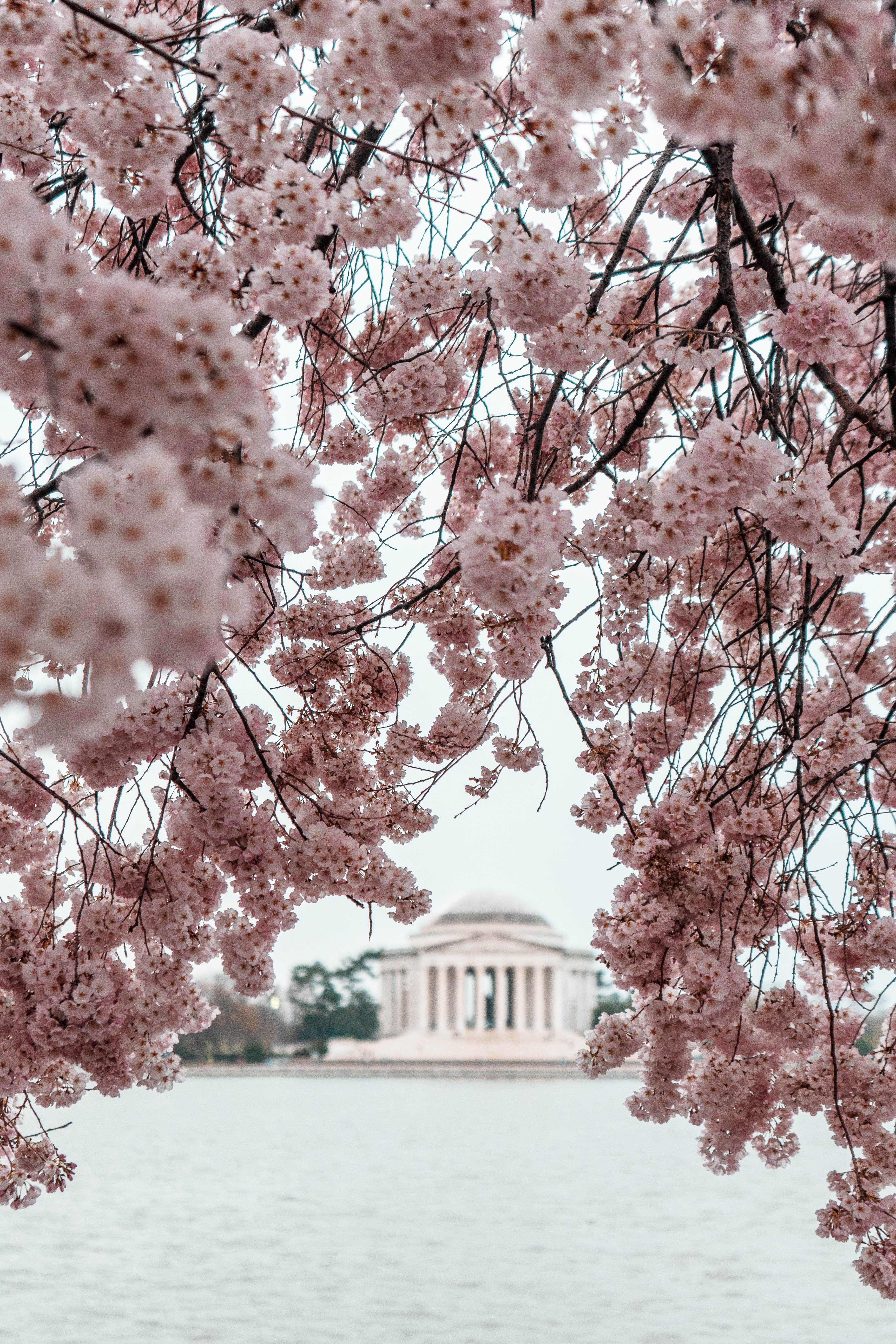 Riggs Washington DC | Luxury 5 Star Hotel in Washington DC